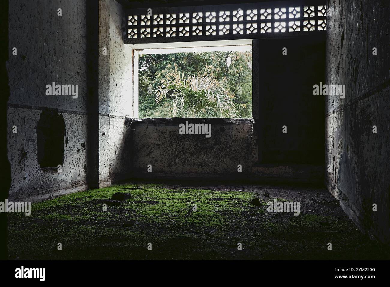 Ruins of Armero, Colombia — a ghost town buried by a volcanic mudflow ...