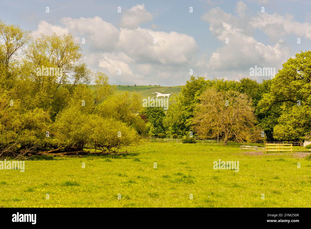 Alton Barnes White Horse Wiltshire Stock Photo - Alamy