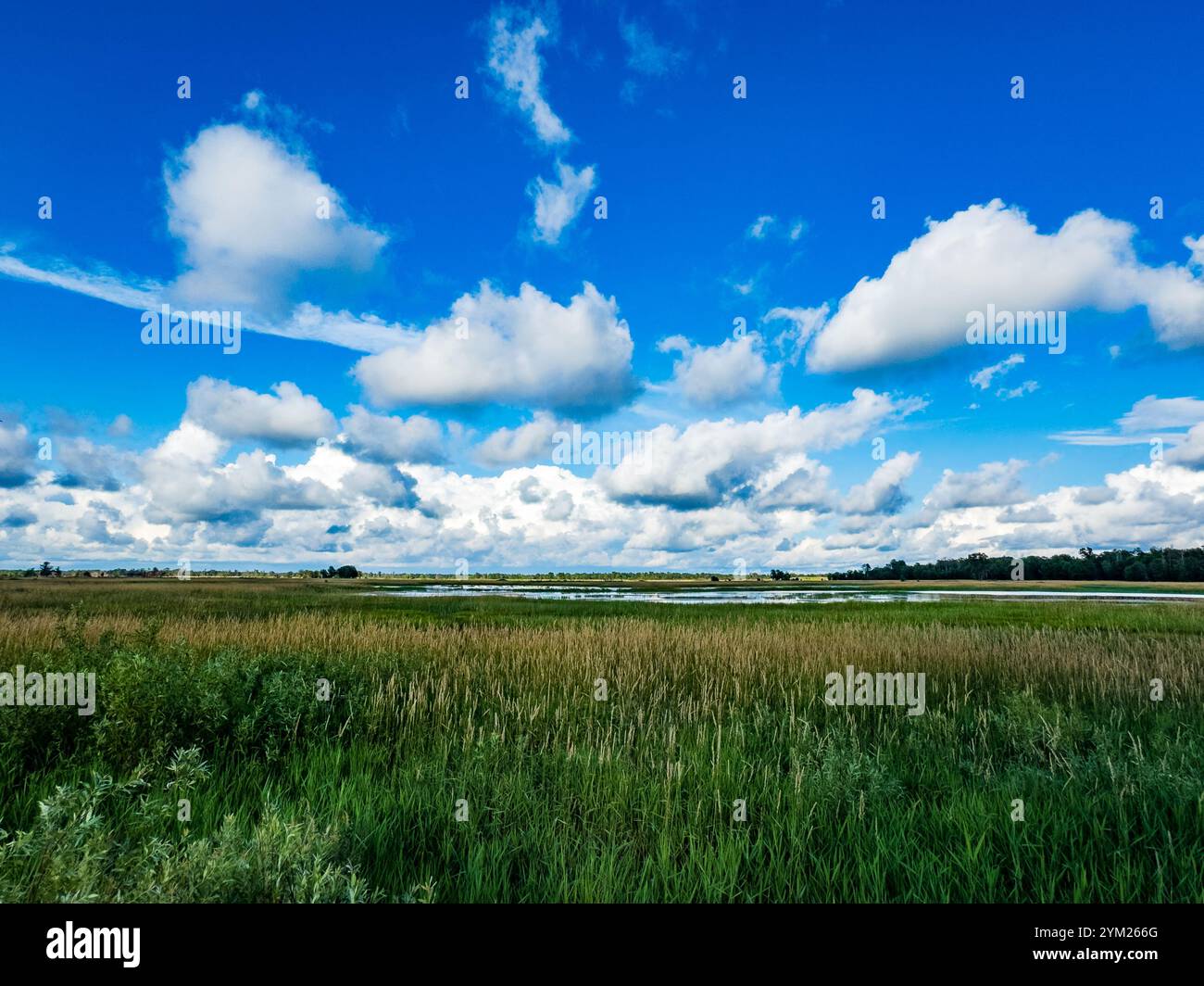 Beautiful Sky and Water in Necedah National Wildlife Refuge in ...