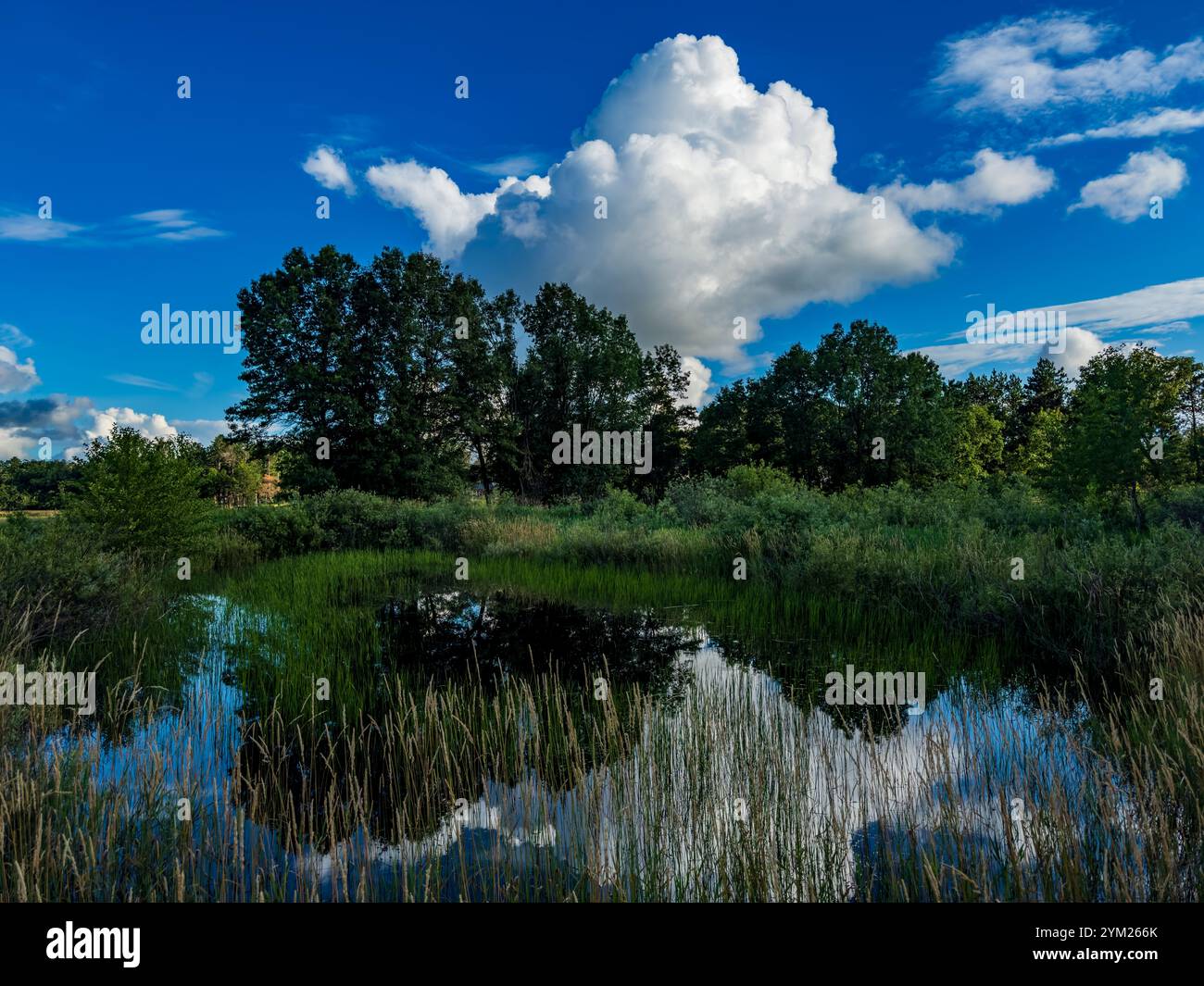 Beautiful Sky and Water in Necedah National Wildlife Refuge in ...