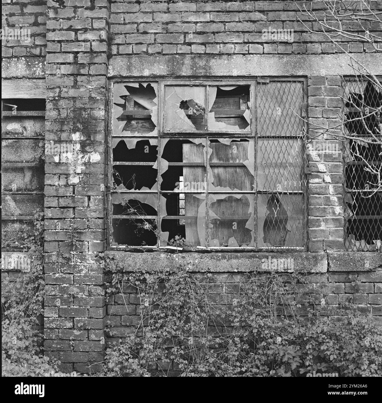A Shattered Window on the side of an abandoned industrial building ...