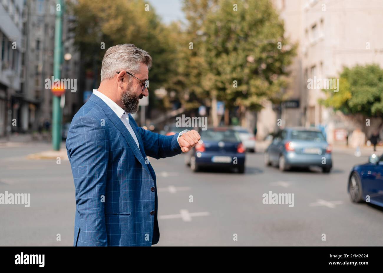 Busy mature entrepreneur in hi-res stock photography and images - Alamy