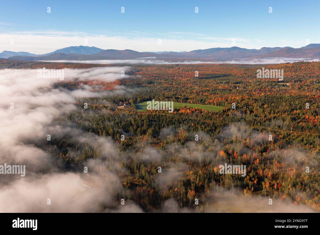 Aerial footage dense rainforest canopy hi-res stock photography and images - Alamy