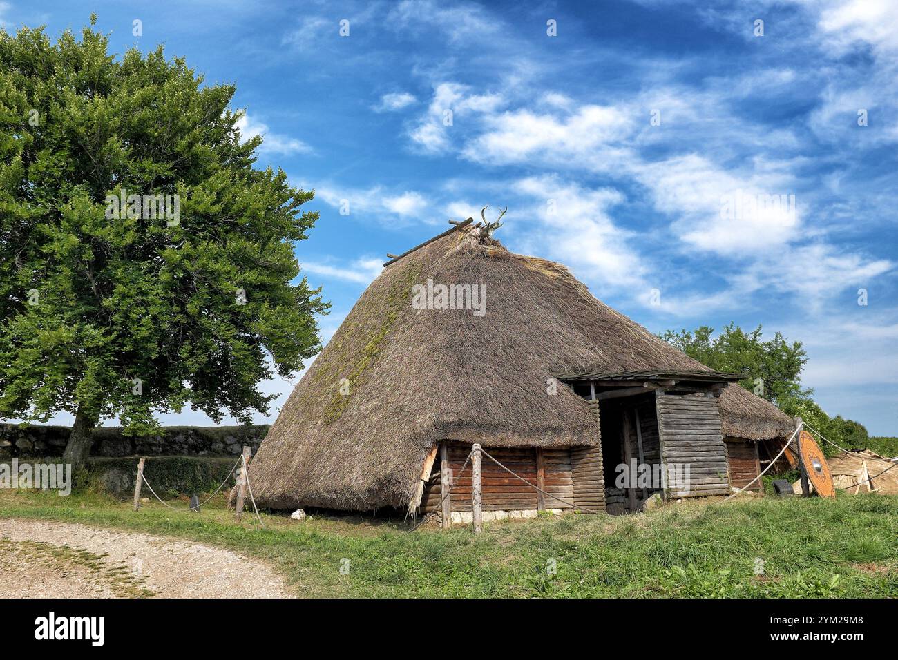 Landscape with wooden house and thatched roof, in the middle of the ...