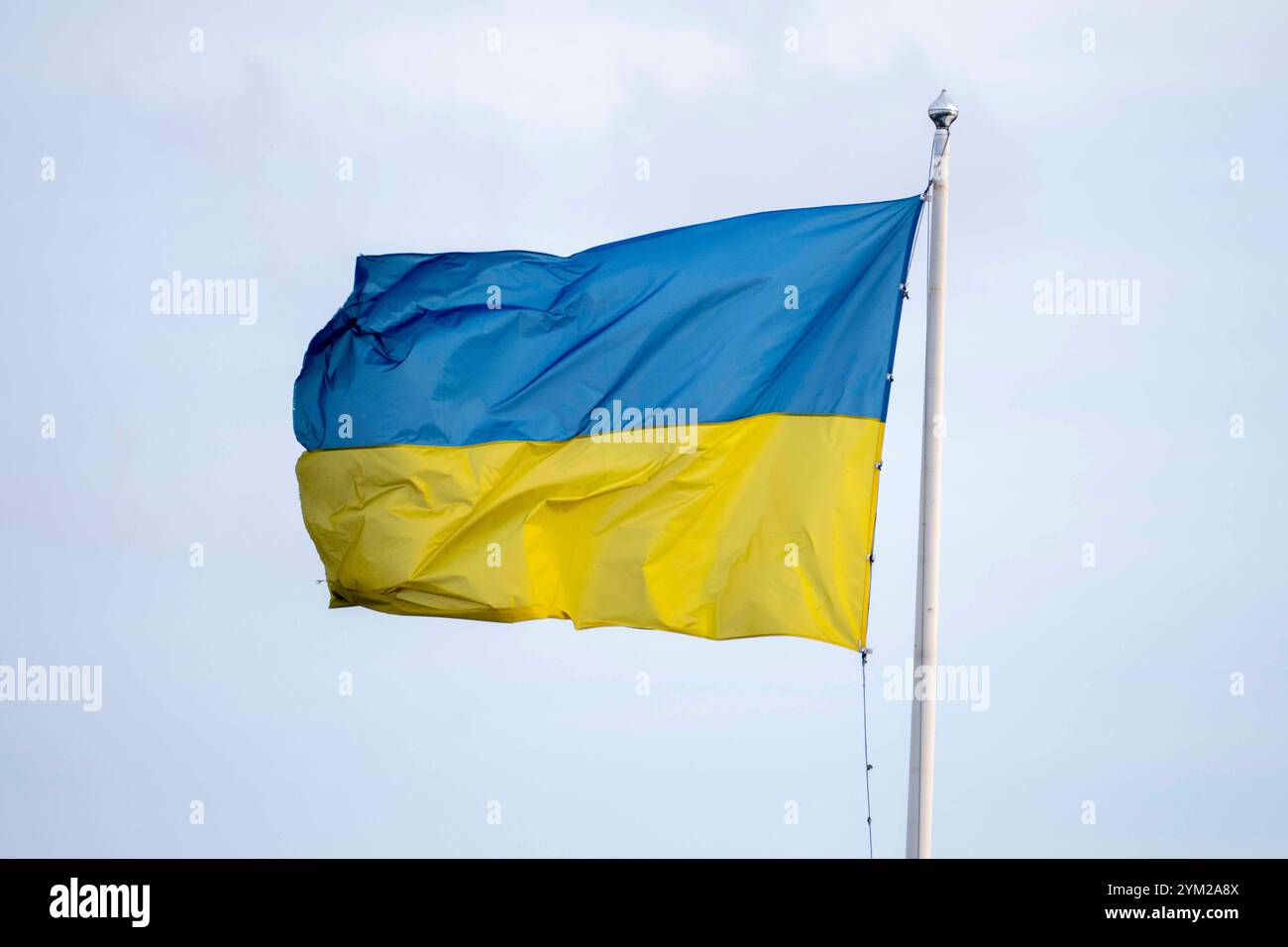Ukrainian flag seen in Kyiv Stock Photo - Alamy