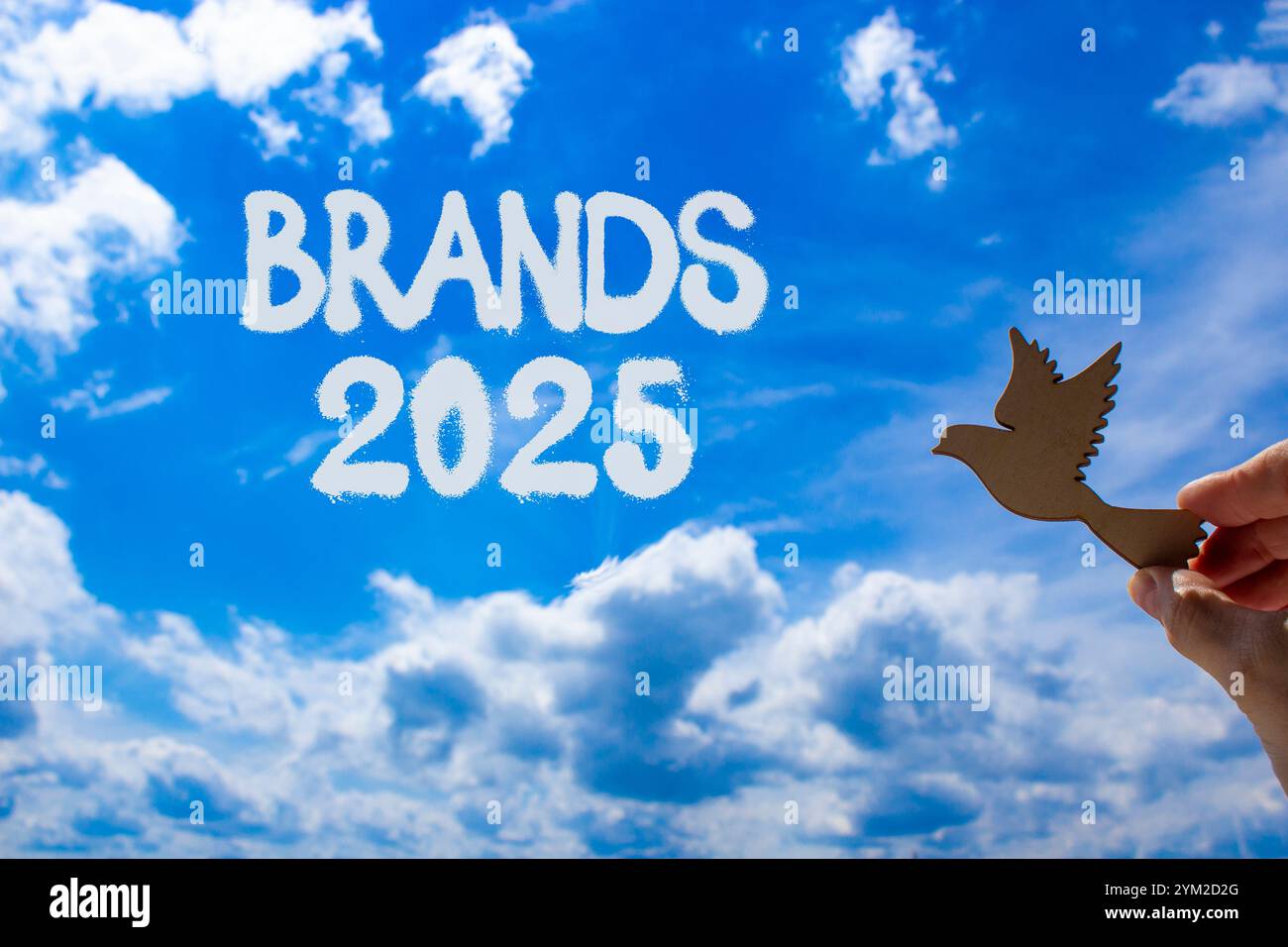 Planning brands 2025 new year symbol. Concept words Brands 2025 on ...