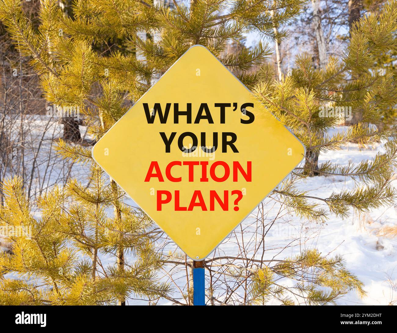 Action plan symbol. Concept words What is your action plan on beautiful ...