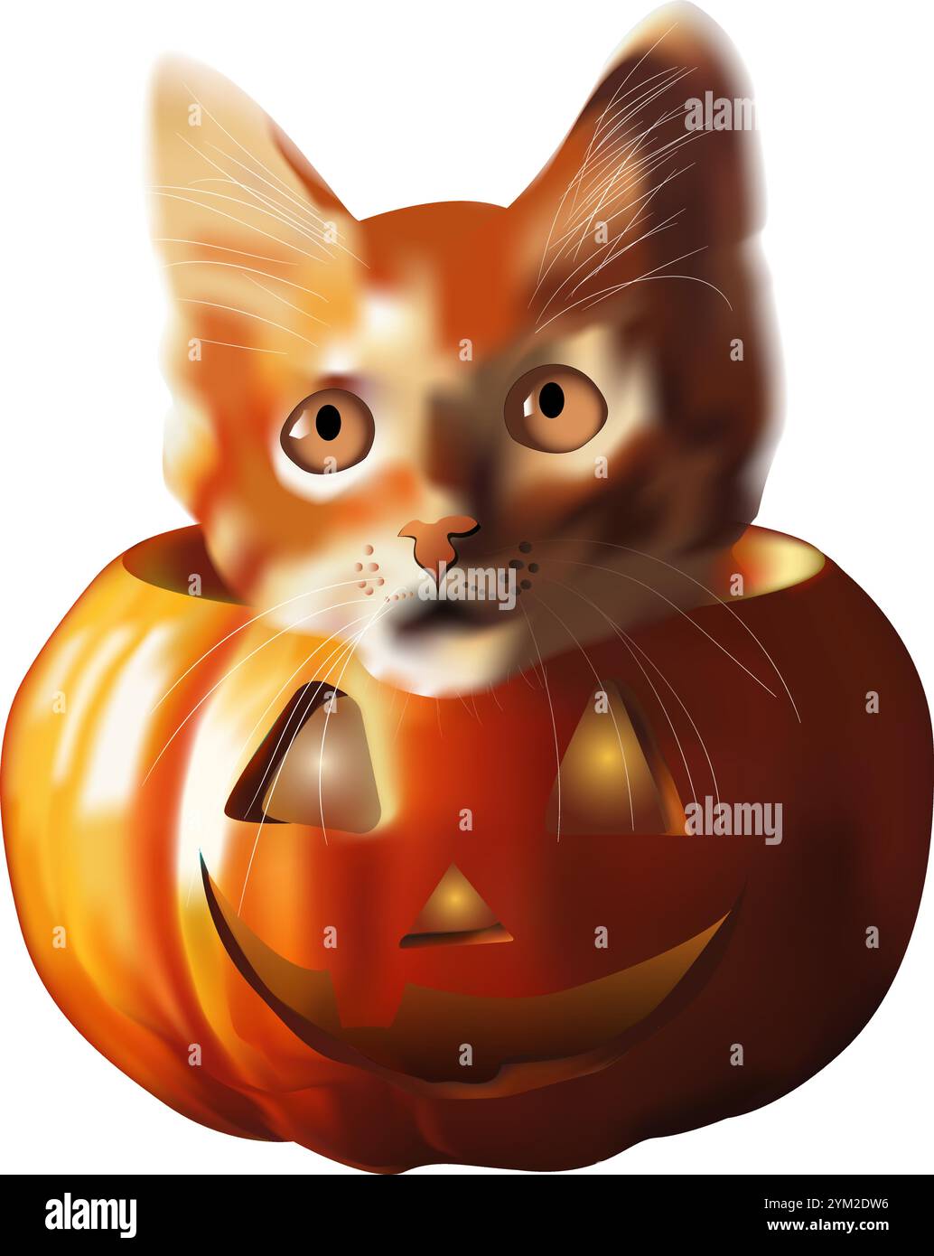 Only one pumpkin Stock Vector Images - Alamy