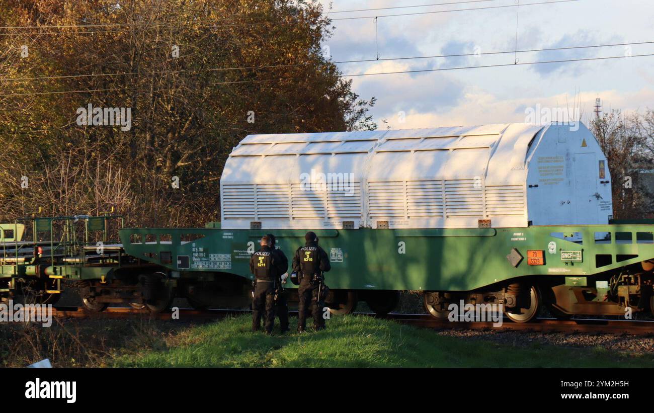 Philippsburg, Germany. 20th Nov, 2024. A train with Castor containers ...