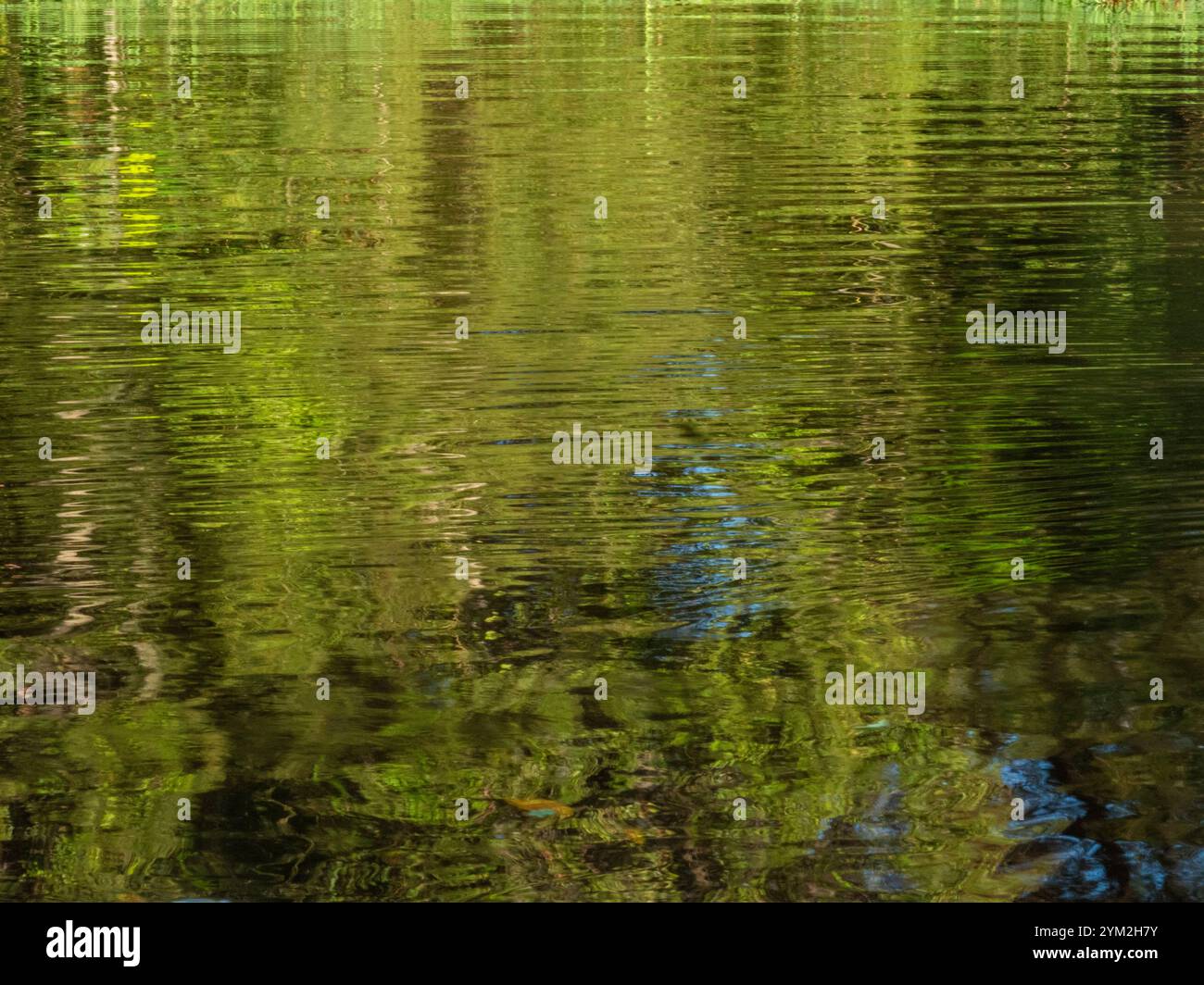Abstract natural backgrounds grass hi-res stock photography and images ...