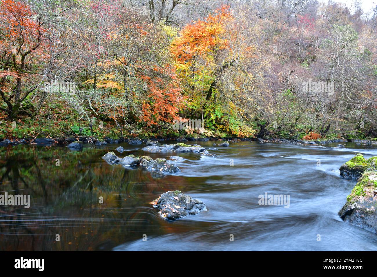 River shin in scottish hi-res stock photography and images - Alamy