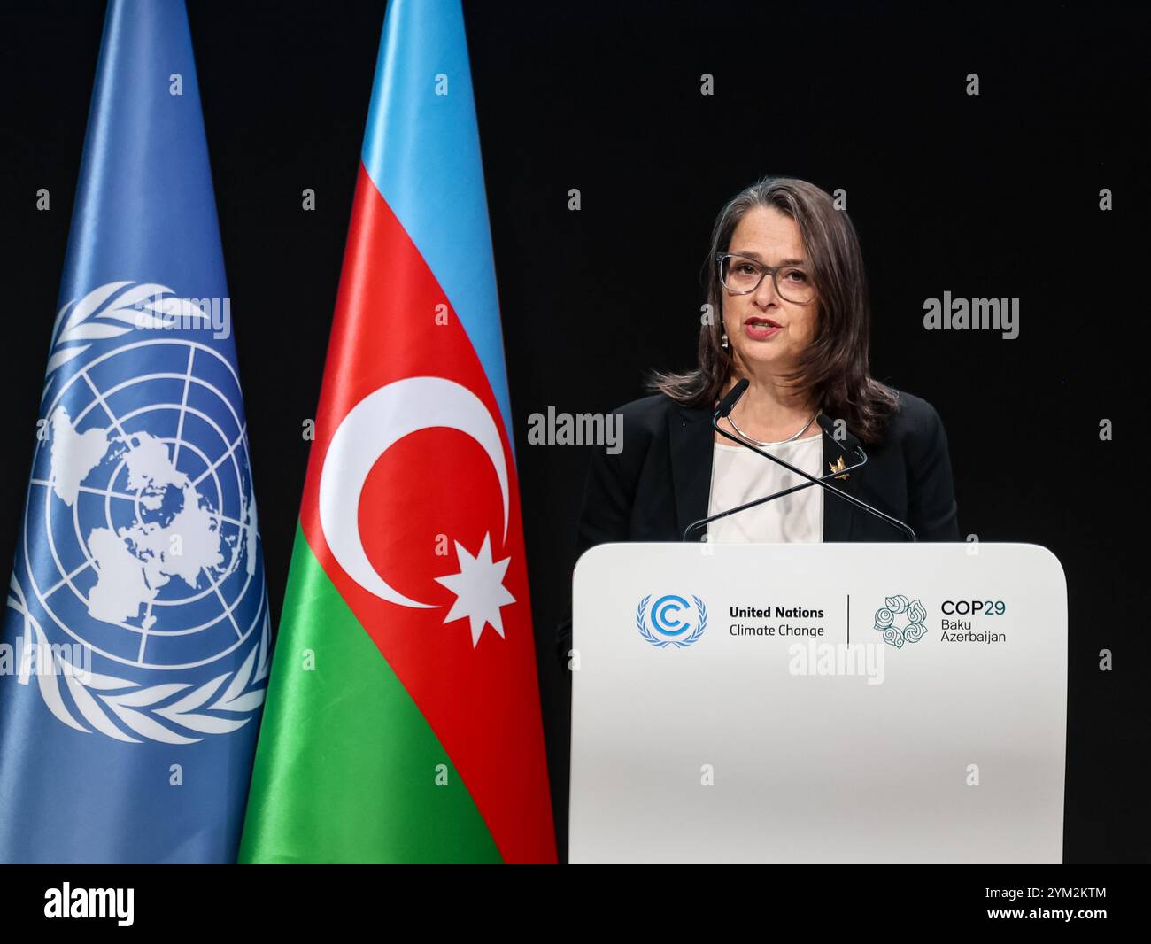 Catherine A. Stewart, Ambassador for Climate Change for Canada gives a national statement during ...