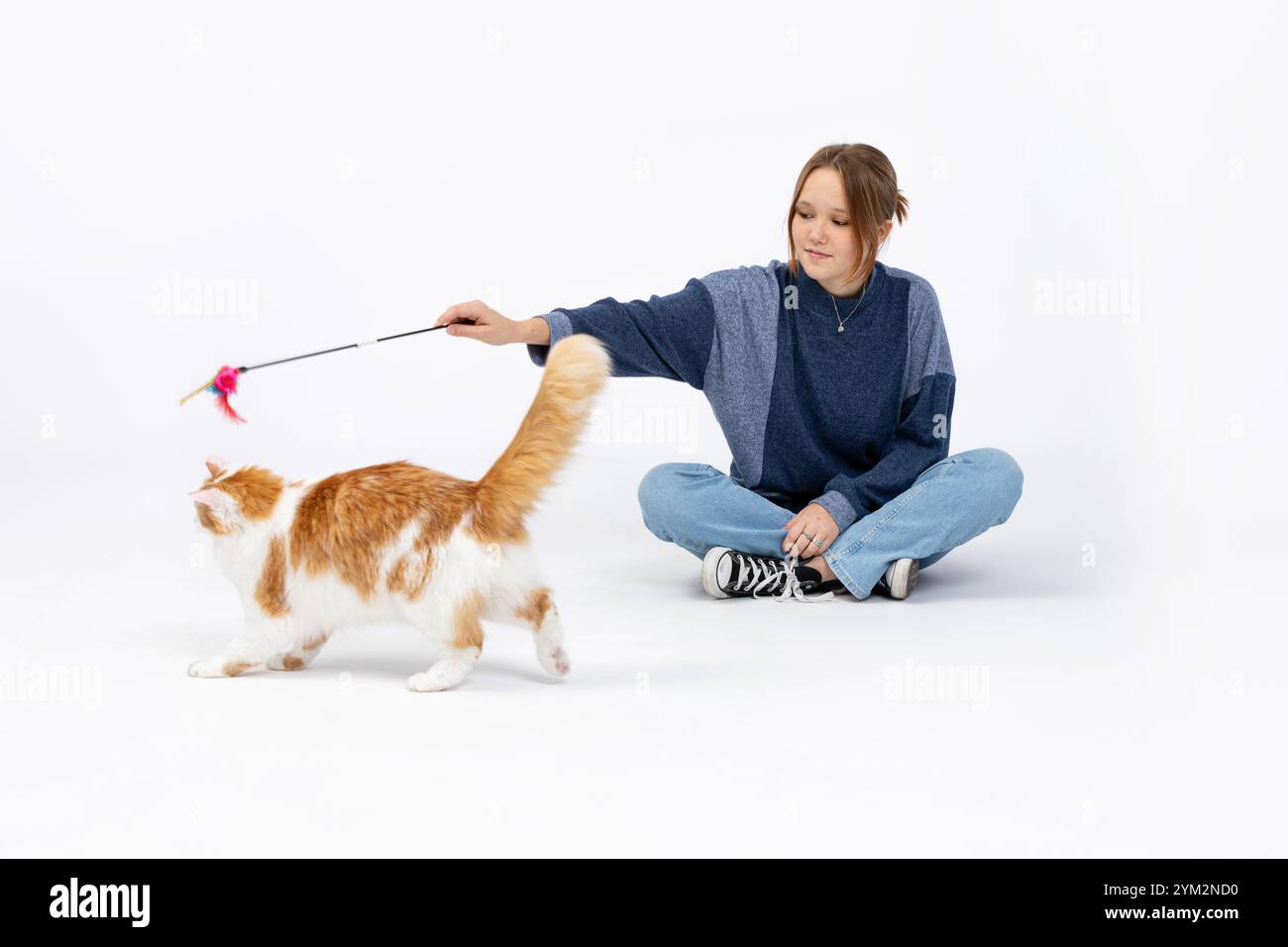 Enjoying Fun Indoor Playtime Moments with an Adorable Cat and a Loving ...