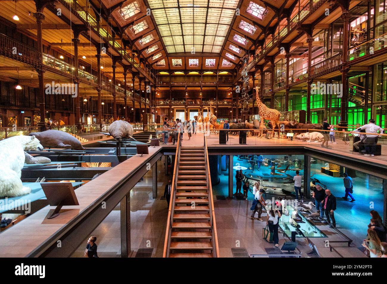 Museumsdesign hi-res stock photography and images - Alamy