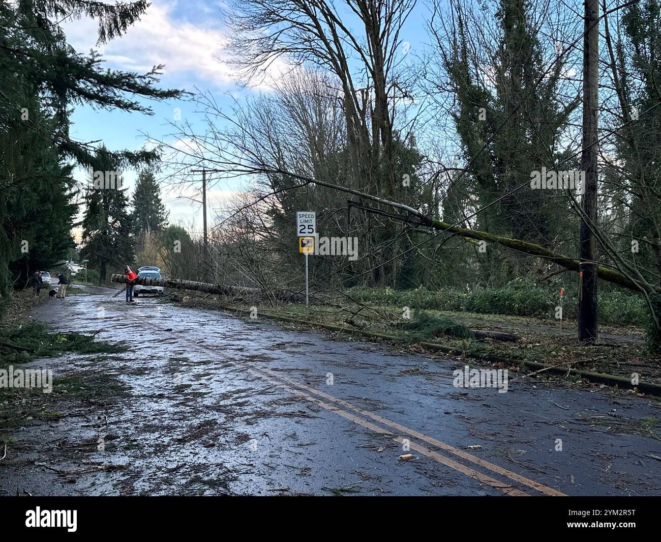 Damage is seen in a neighborhood in Issaquah, Wash., Wednesday, Nov. 20 ...