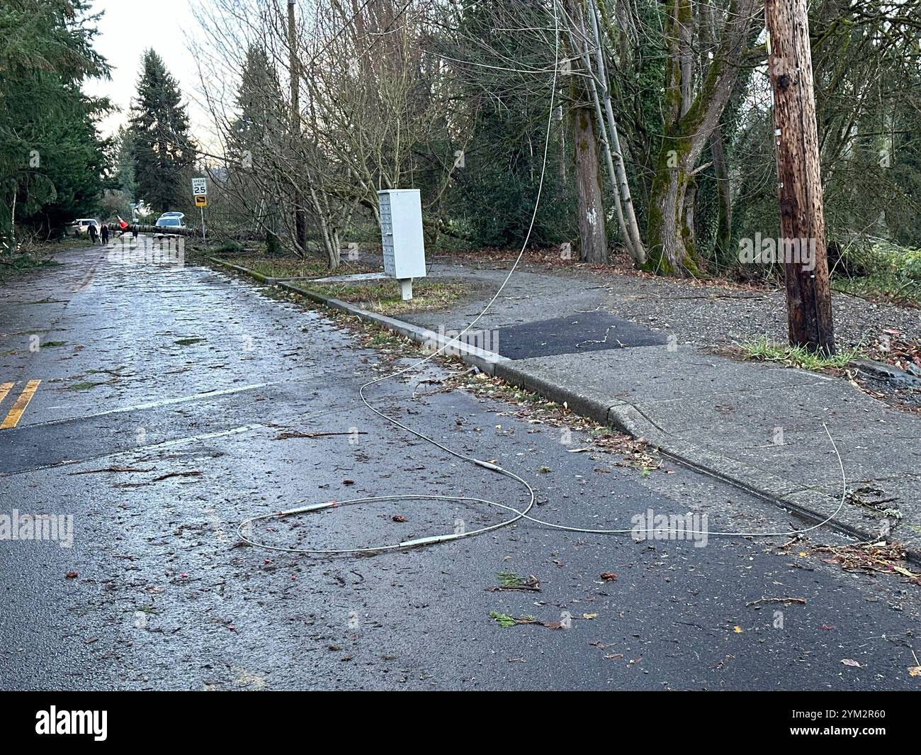 Damage is seen in a neighborhood in Issaquah, Wash., Wednesday, Nov. 20 ...