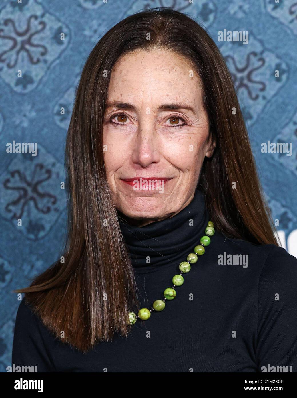 HOLLYWOOD, LOS ANGELES, CALIFORNIA, USA - NOVEMBER 19: Deva Anderson ...