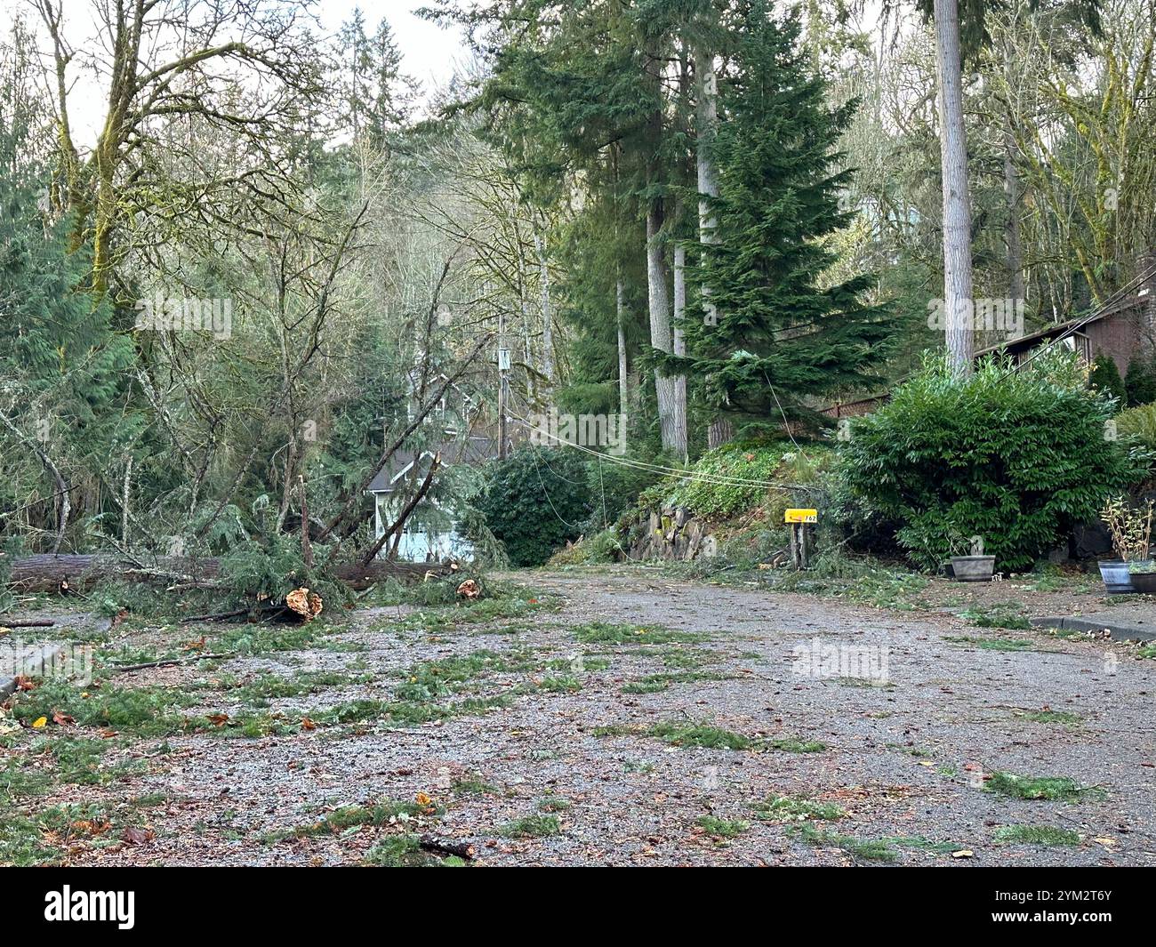 Damage is seen in a neighbourhood in Issaquah, Wash., Wednesday, Nov ...
