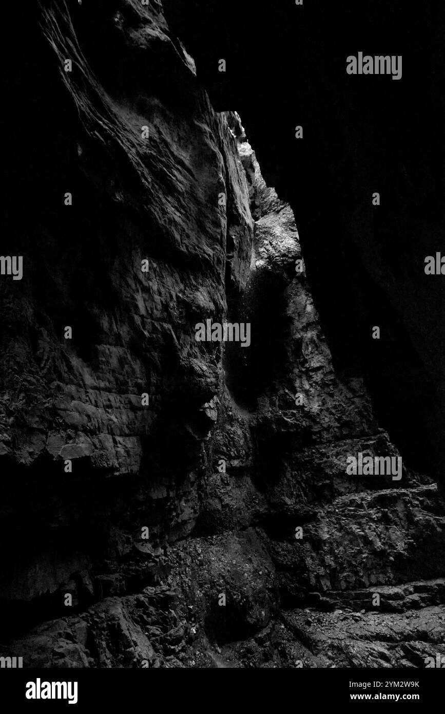 Stream in lush green Black and White Stock Photos & Images - Alamy