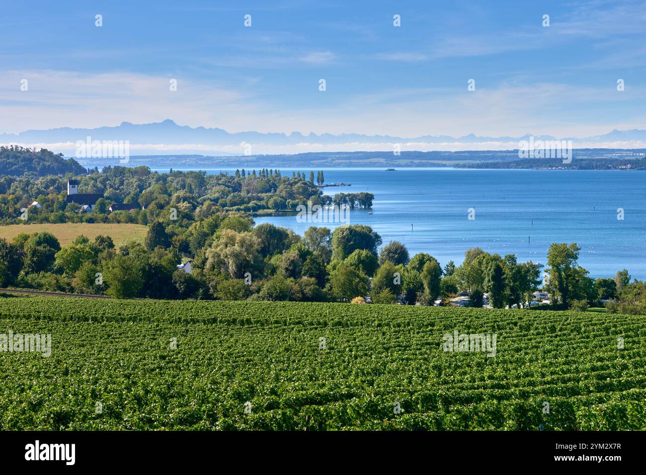 Breathtaking Bodensee Panorama Featuring Alpine Peaks, Vineyards, and ...