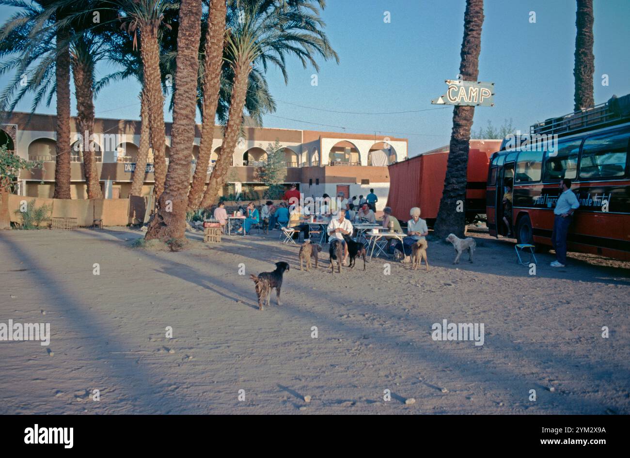 Rotel bus hi-res stock photography and images - Alamy