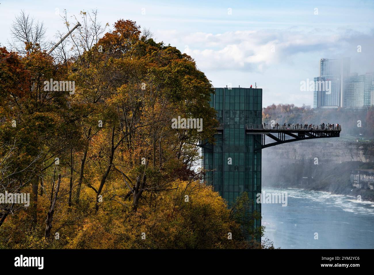 Tree tower observation platform hi-res stock photography and images - Alamy