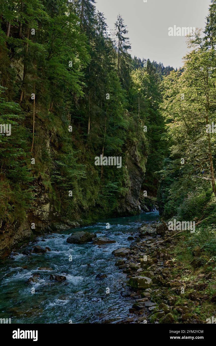 Pristine Alpine Stream Flows Through Lush Mountain Valley with Eco ...