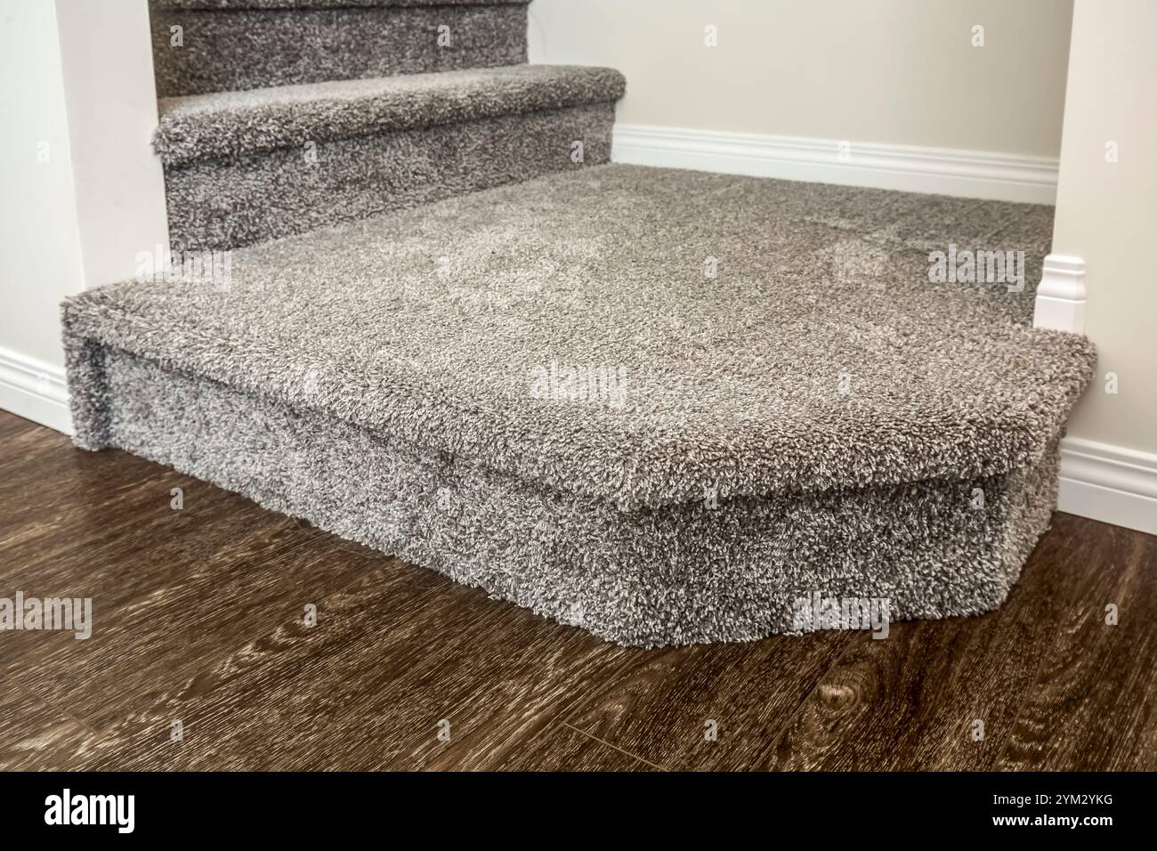 A staircase with a carpeted step leading to a wooden floor. The carpet ...