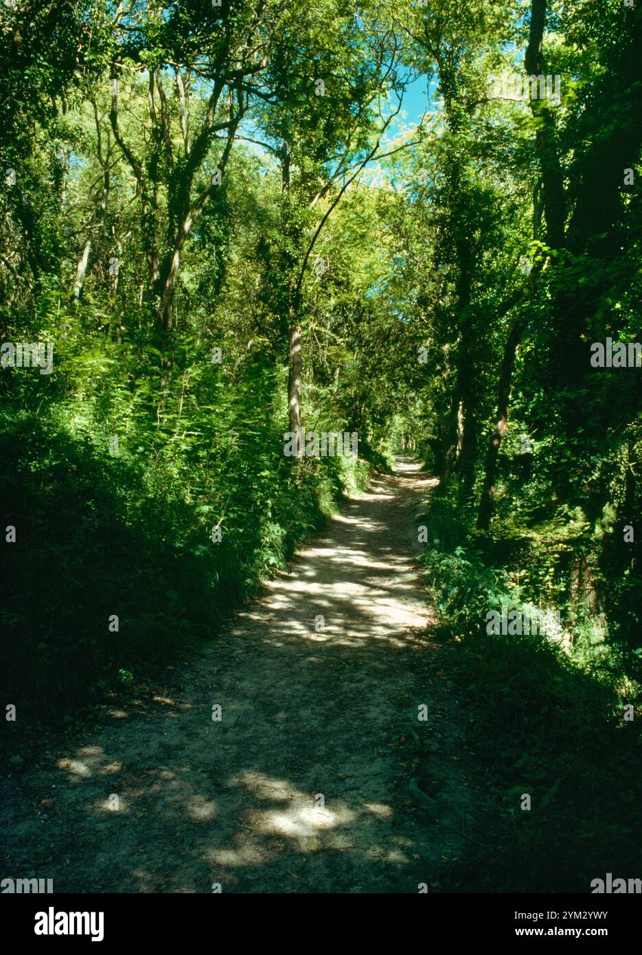 Pilgrimage england hi-res stock photography and images - Alamy