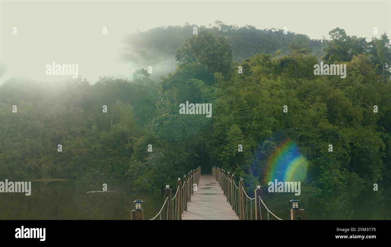 Wooden suspension bridge leading into dense green forest with misty Stock Photo - Alamy