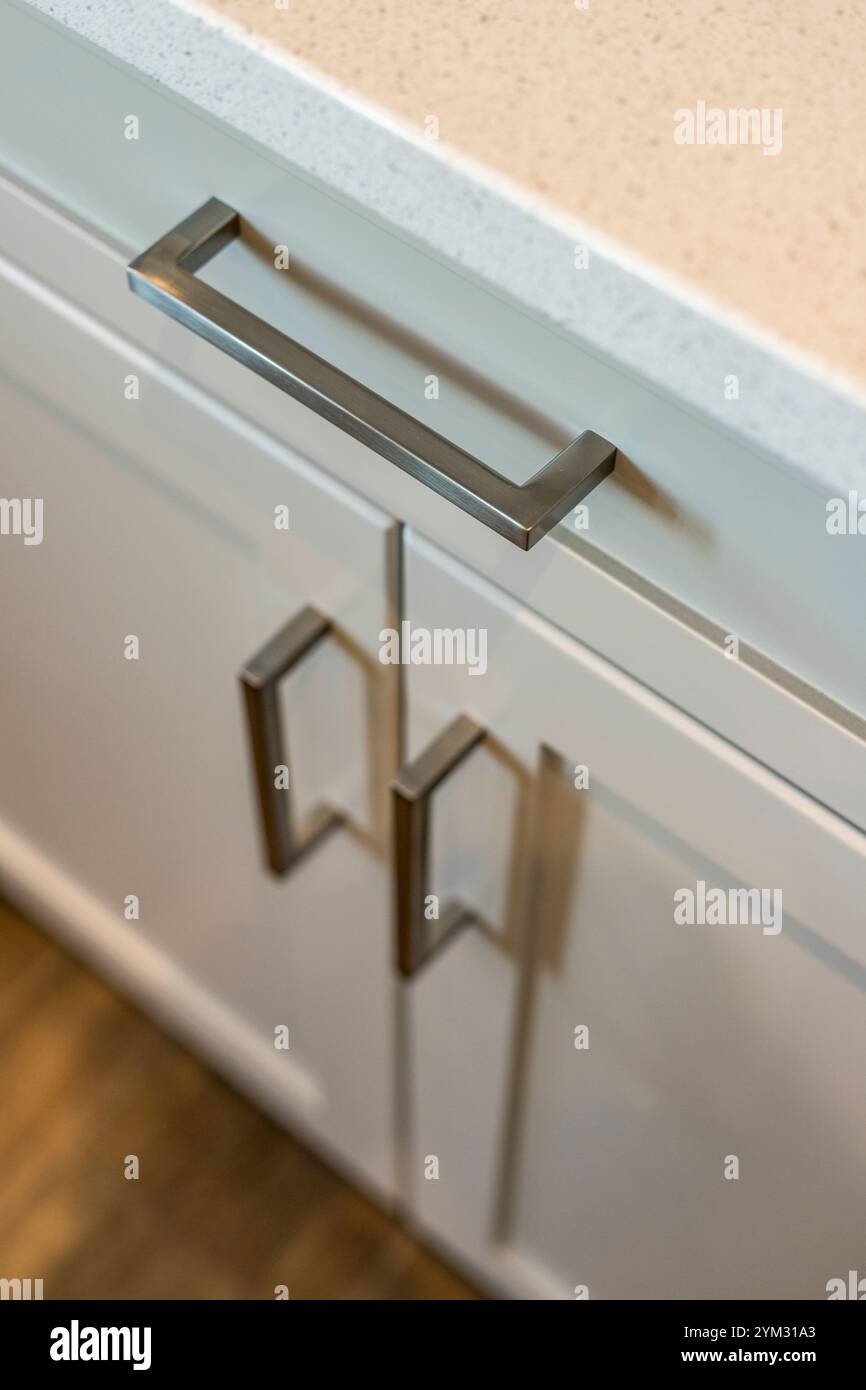 The cabinet handles are silver and have a black trim. The handles are ...