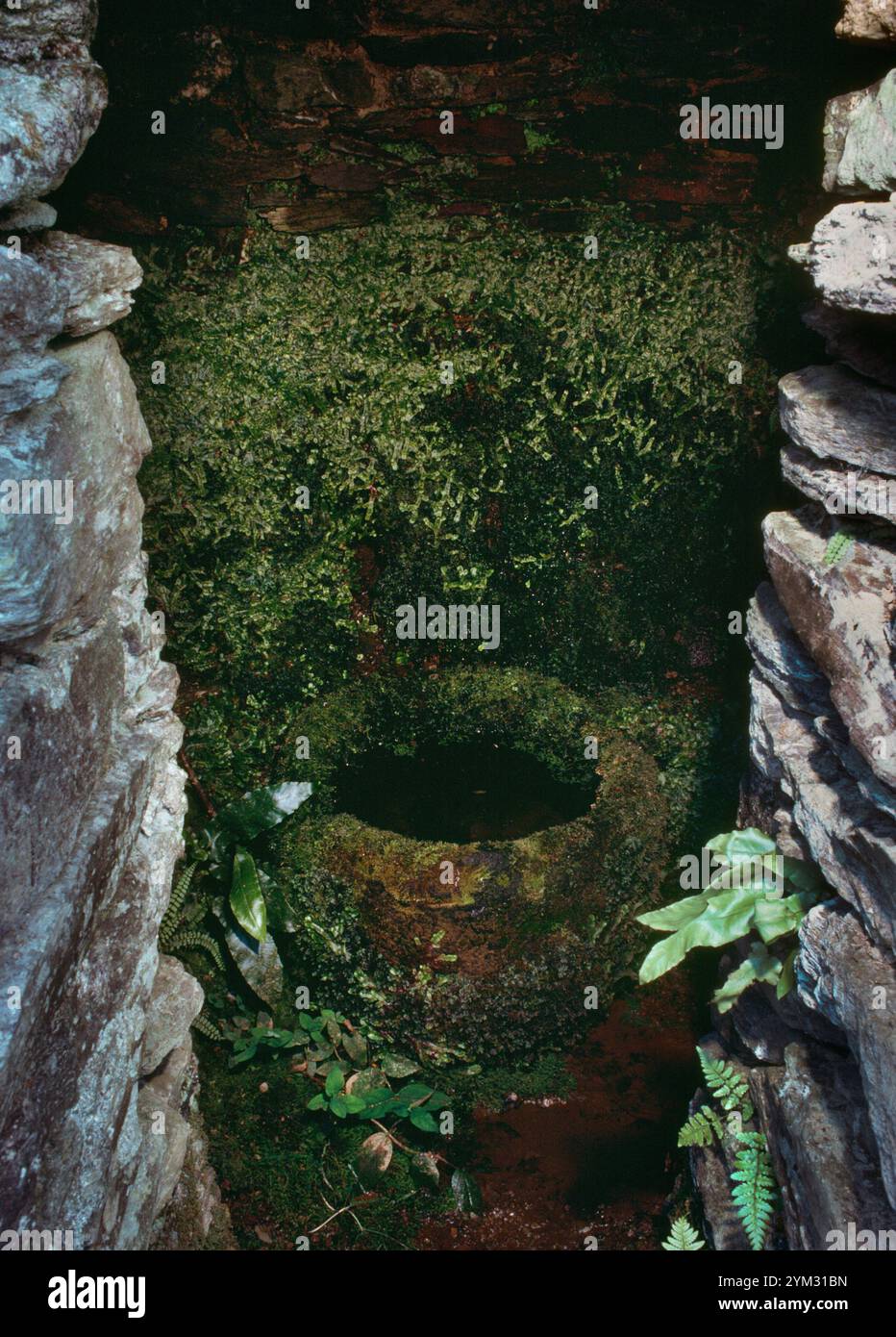 Farmer removed basin hi-res stock photography and images - Alamy