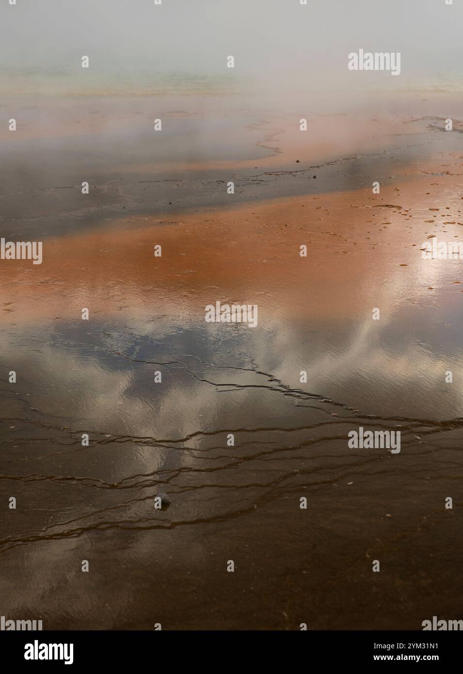 Textures and colors of the terrain in Yellowstone National Park XV USA ...