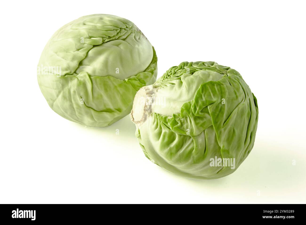 two heads of white cabbage isolated on white background Stock Photo - Alamy