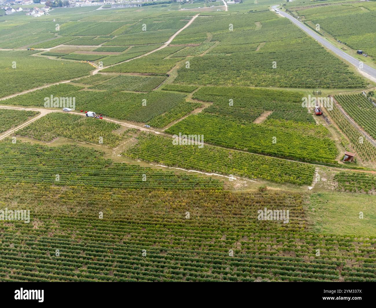 Aerial view on grand cru vineyards near Cramant and Avize, region ...
