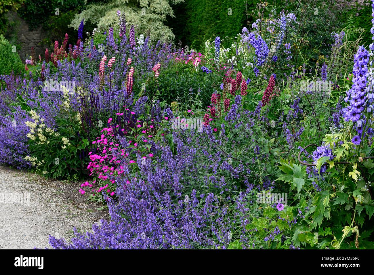Altamont gardens, Corona North, commemorative border, herbaceous border ...