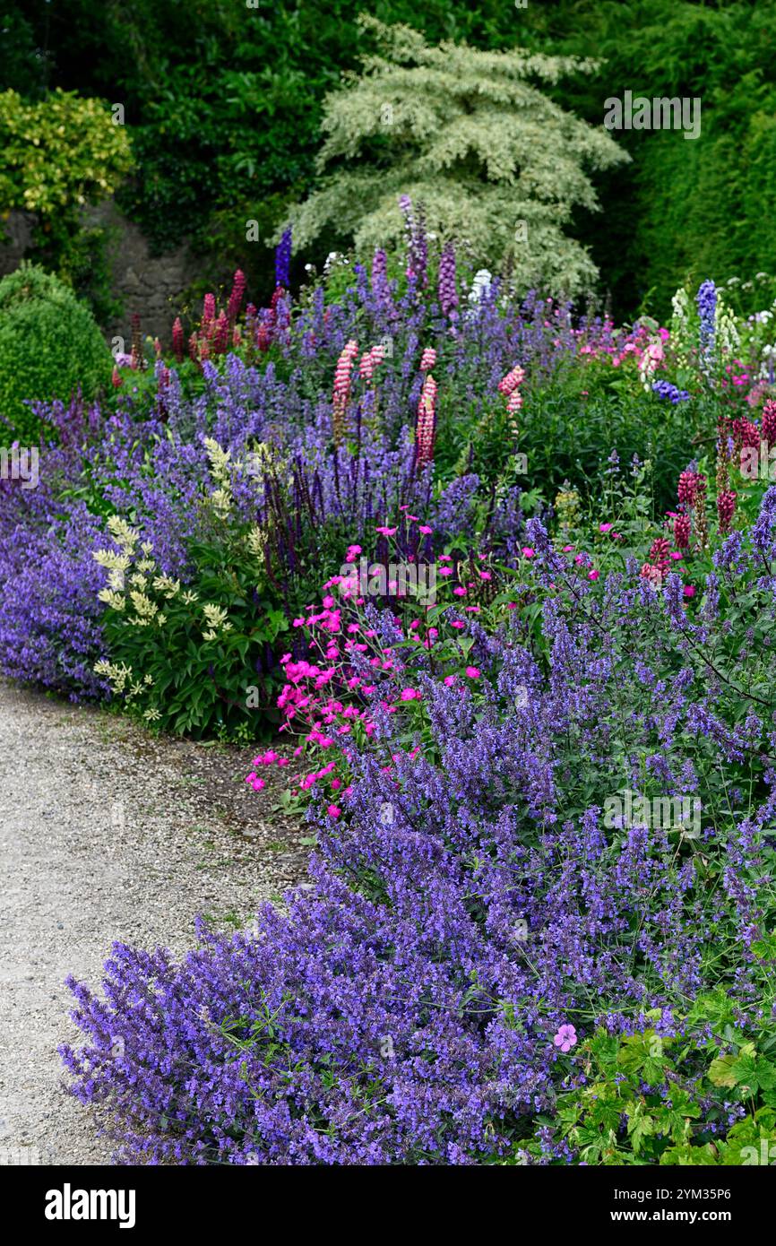 Altamont gardens, Corona North, commemorative border, herbaceous border ...