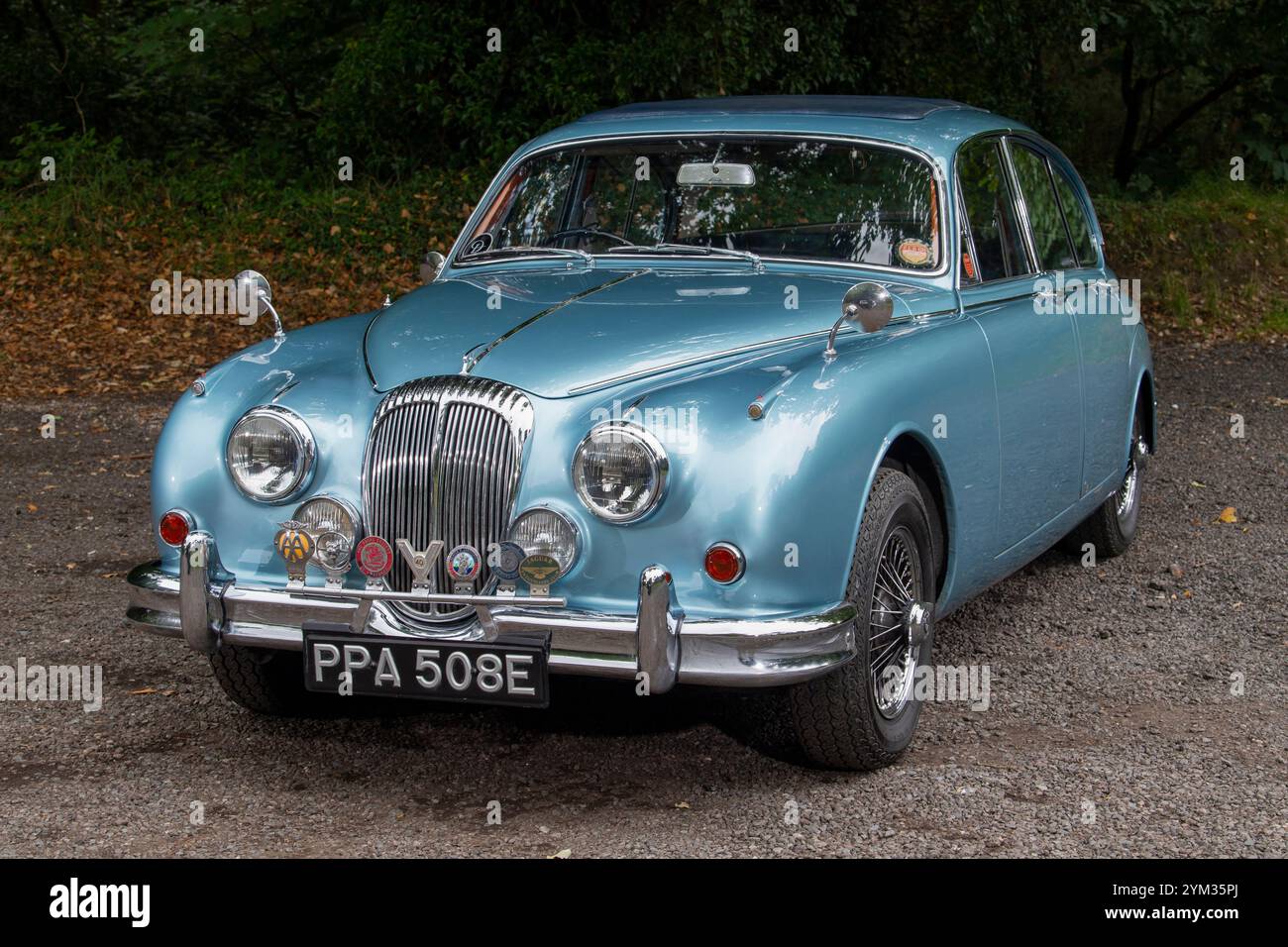 1967 Daimler 340 V8 British classic car Stock Photo - Alamy