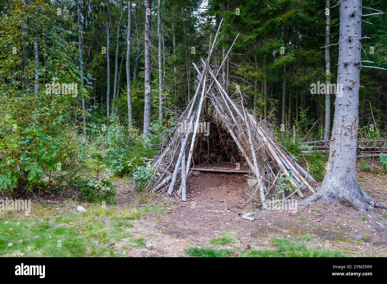 Study trail hi-res stock photography and images - Alamy