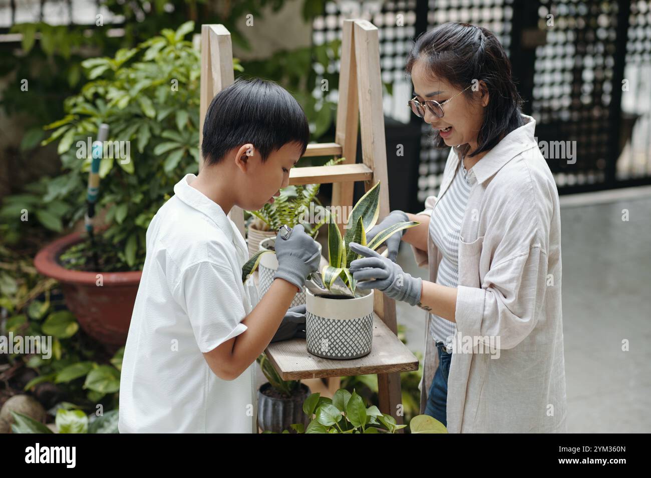 Nurturing Plants Together in Outdoor Garden Setting Stock Photo - Alamy
