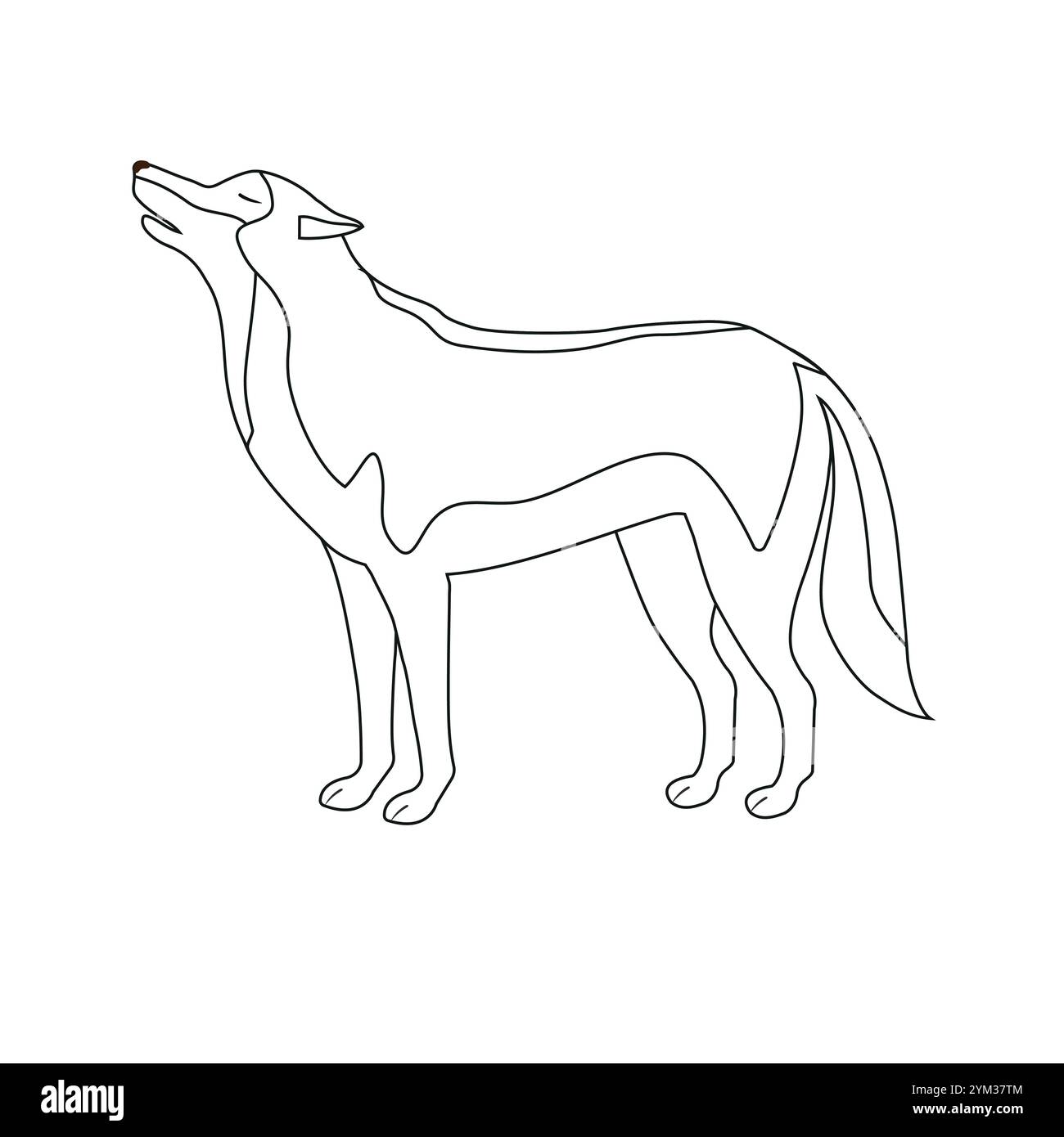 Vector flat hand drawn outline wolf isolated on white background Stock ...