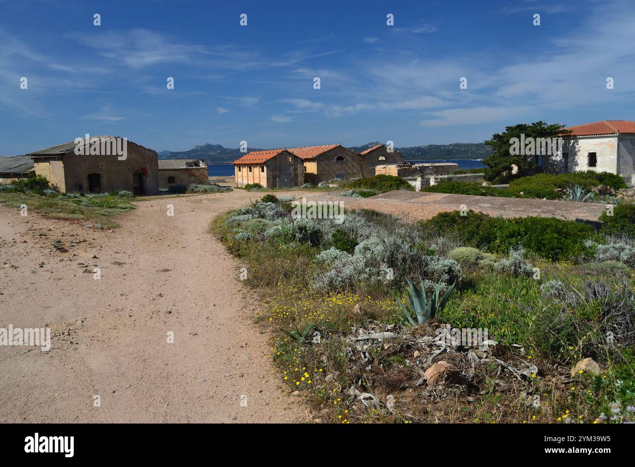 The ruins of military fortifications of Punta Rossa in Caprera island ...