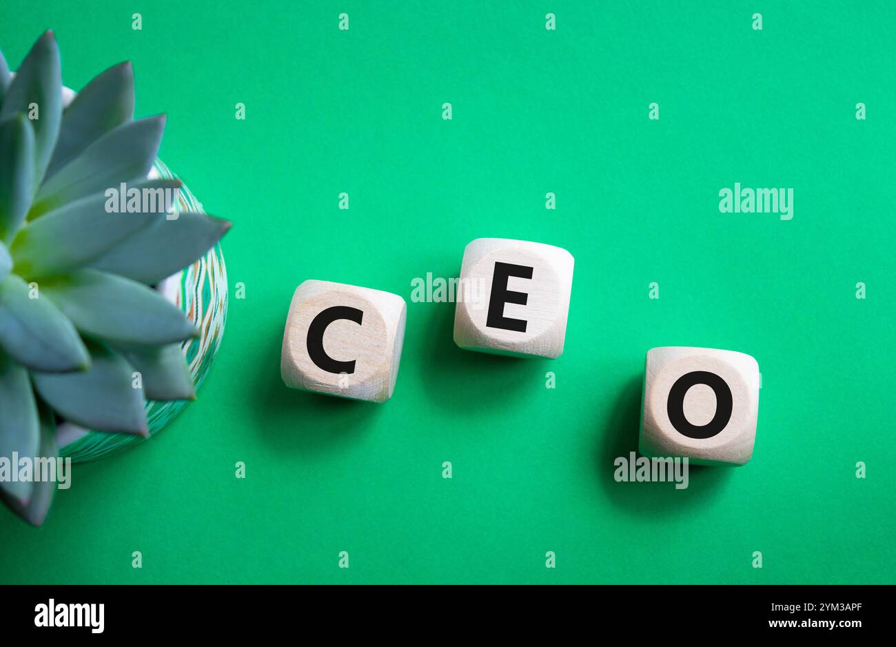 CEO - chief executive officer symbol. Concept word CEO on wooden cubes ...