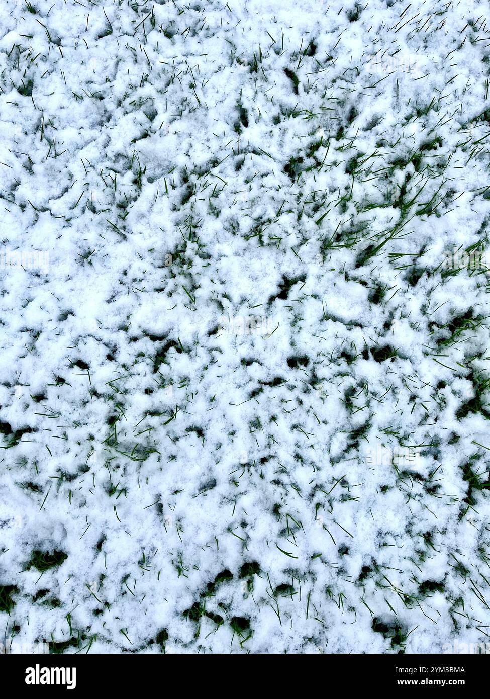 Grass covered first frost hi-res stock photography and images - Alamy