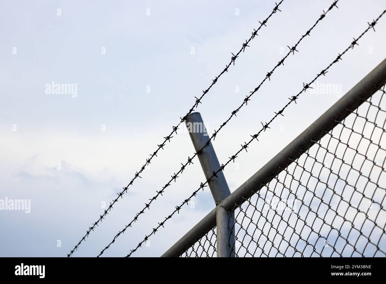 fence with Barb wire, metal chain with spike for safety and security ...