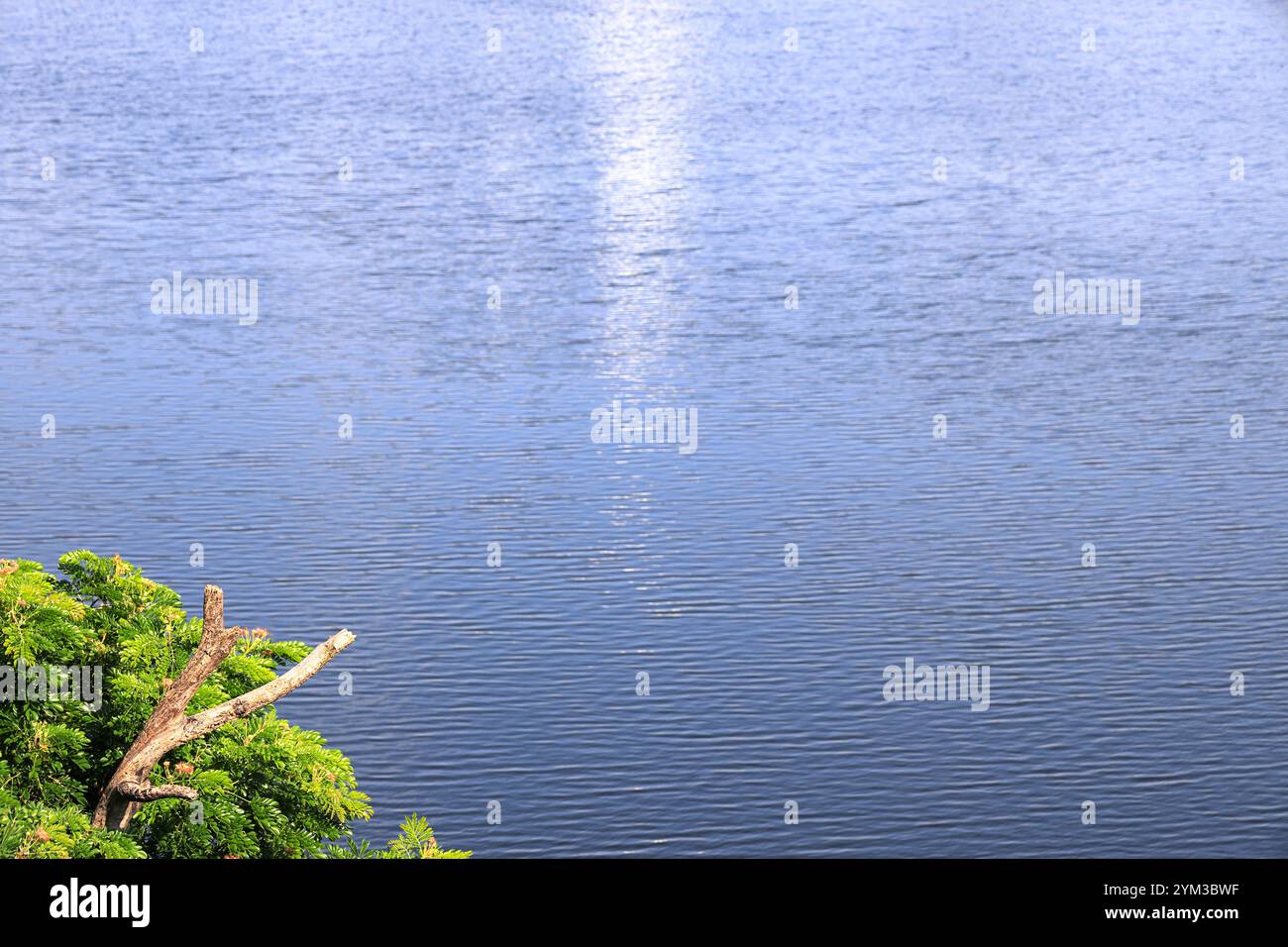 Seamless texture caustics water hi-res stock photography and images - Alamy