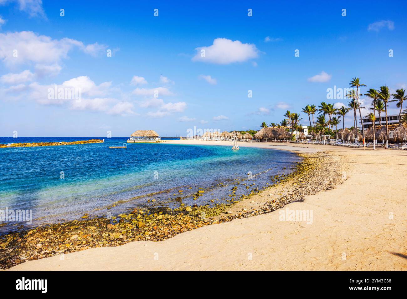 Tropical beach hotel in Curacao with palm trees, turquoise water, sandy ...