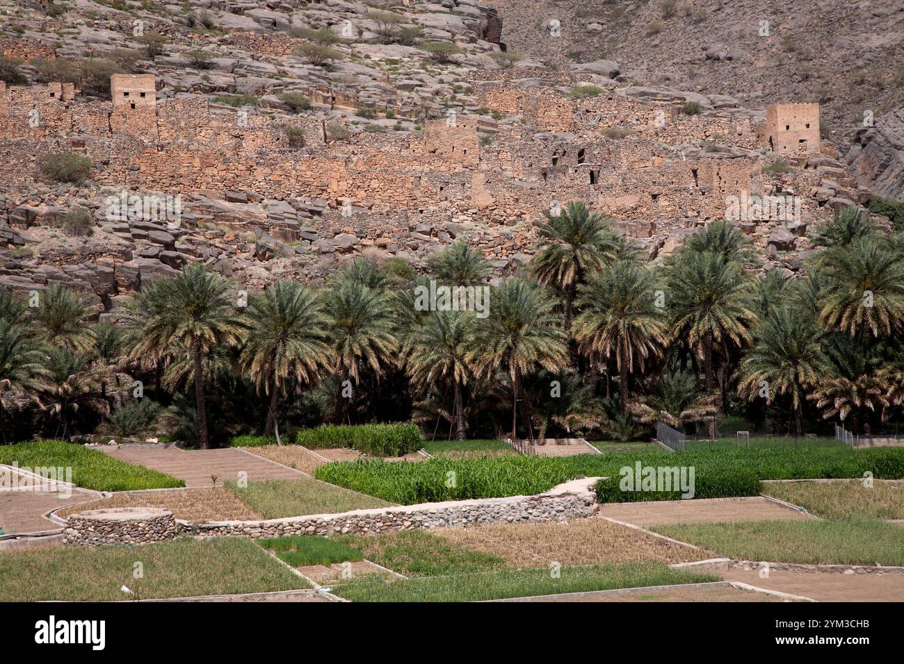 wadi ghul hajar mountains al hamra oman middle east Stock Photo - Alamy