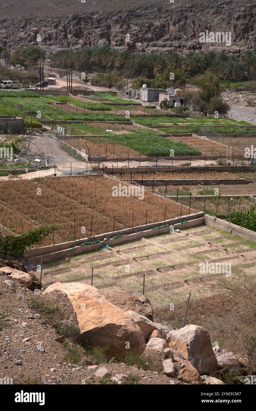 wadi ghul hajar mountains al hamra oman middle east Stock Photo - Alamy