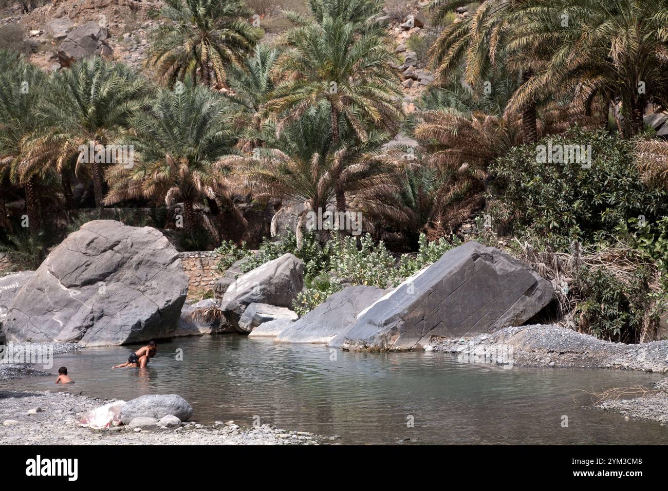 family swimming in wadi ghul hajar mountains al hamra oman middle east ...